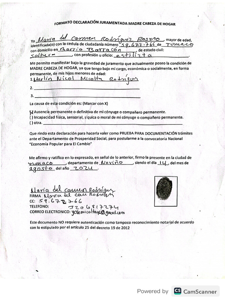 Formato de Declaración Juramentada Dilig | PDF