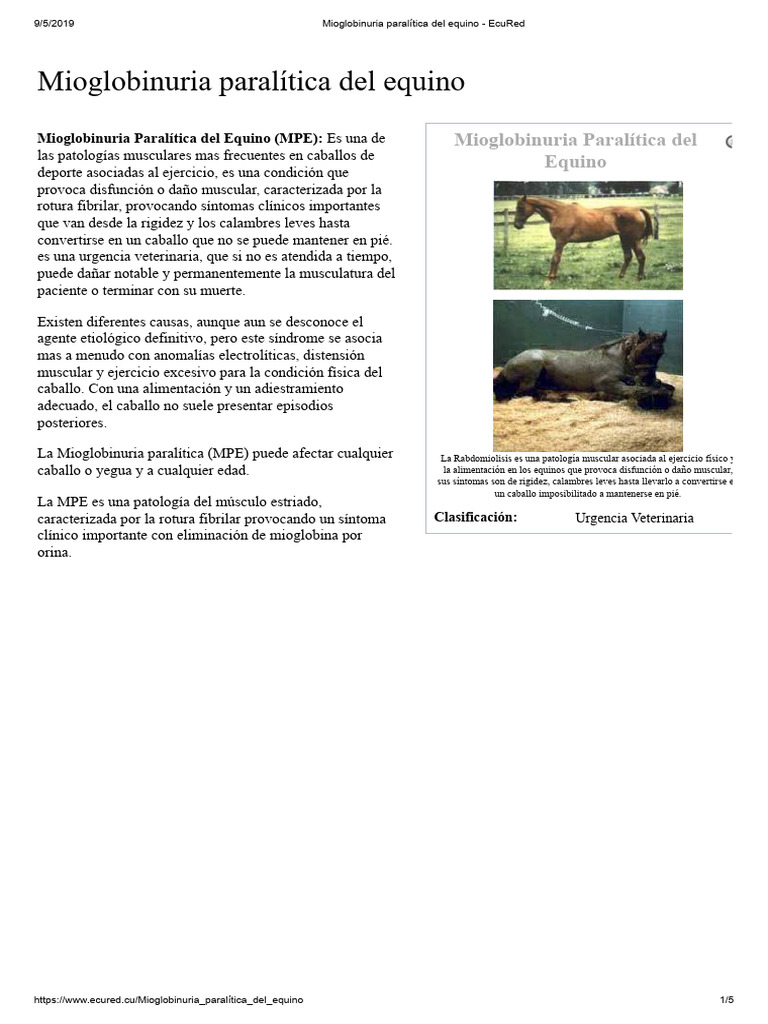 Mioglobinuria Paralítica Del Equino - EcuRed | PDF