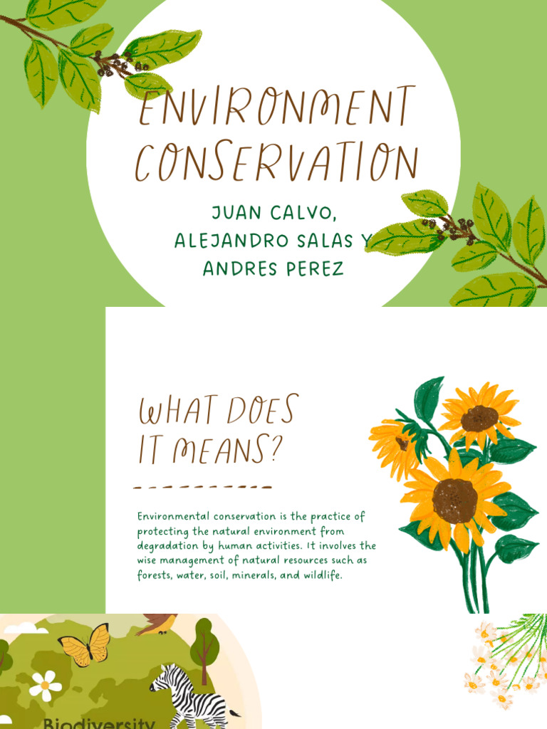 Understanding Environmental Conservation | PDF | Natural Environment ...