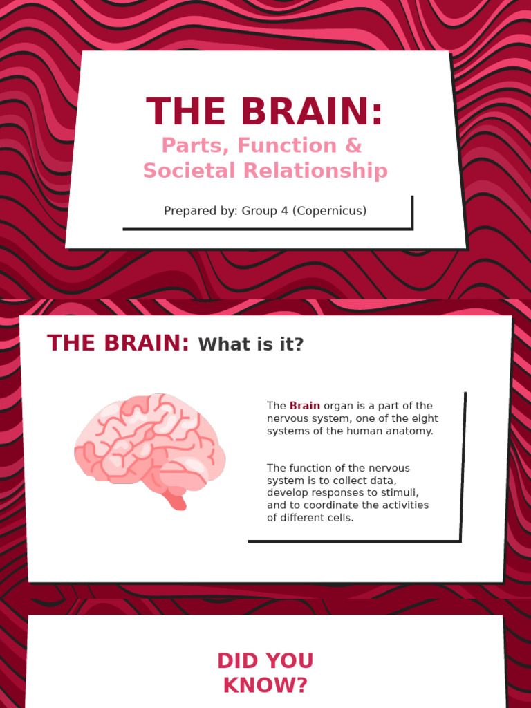 Module 5 The Brain | PDF