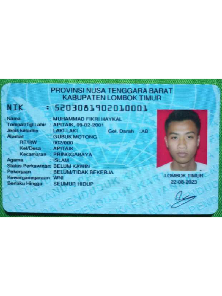 Muhammad Fikri Haykal - Compressed | PDF