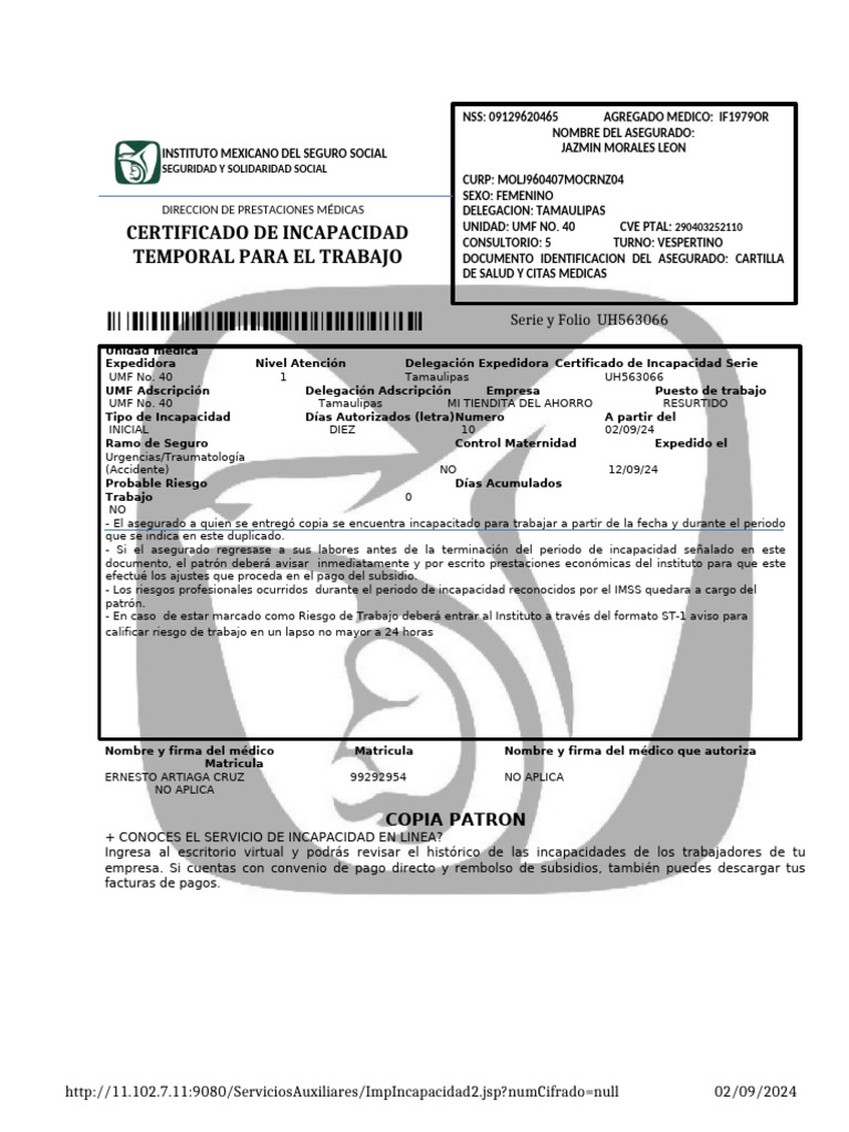 622180827-incapacidad-imss-editable | PDF