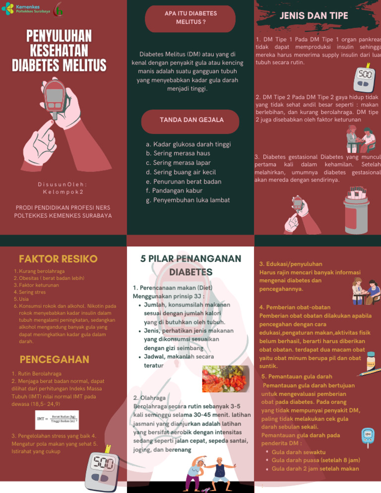 Leaflet DM NERS.pdf | PDF