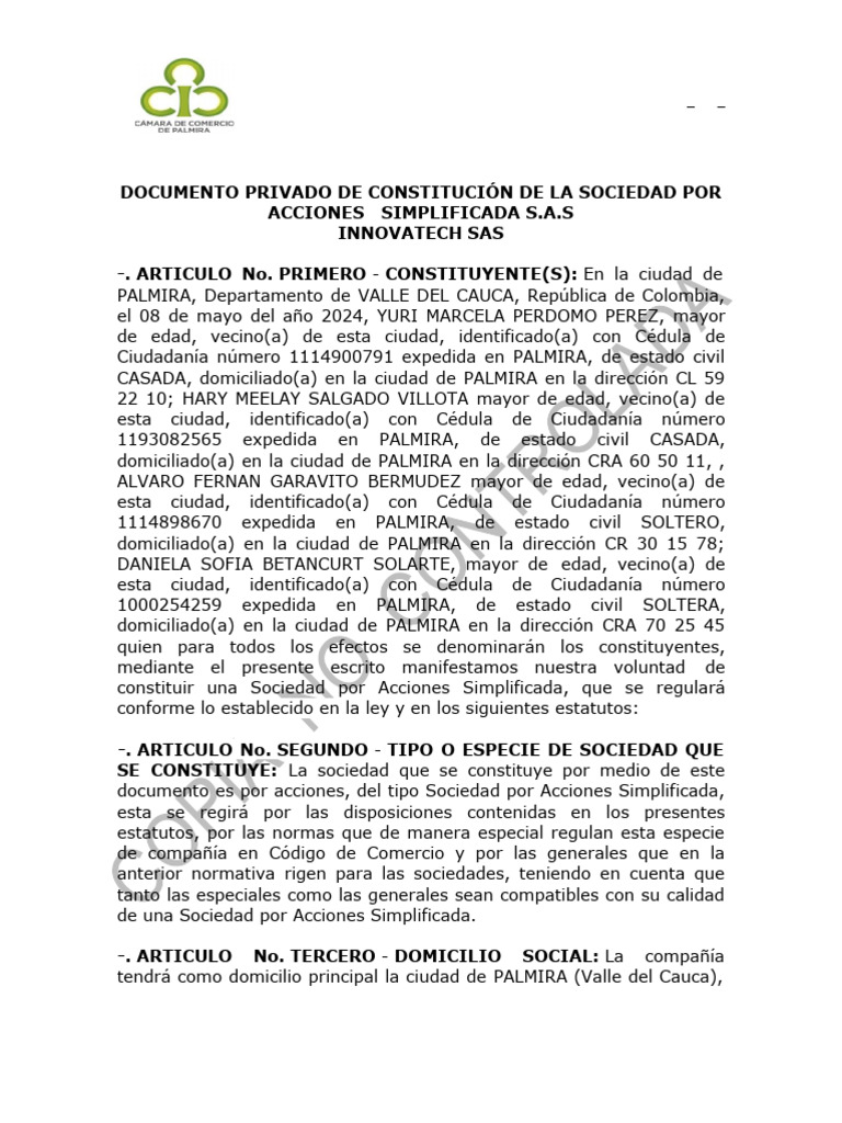 CONSTITUCION | PDF