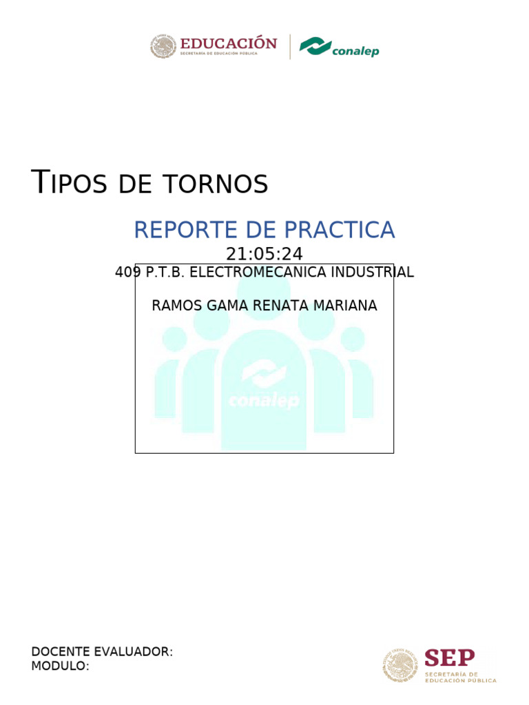 Reporte de Proyecto Final Ren. 0707 | PDF