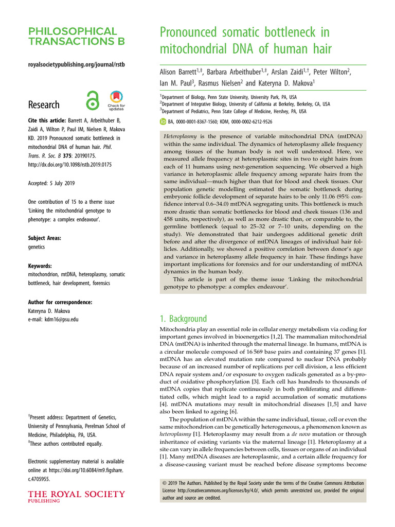 Pronounced Somatic Bottleneck in Mitochondrial DNA of Human Hair | PDF