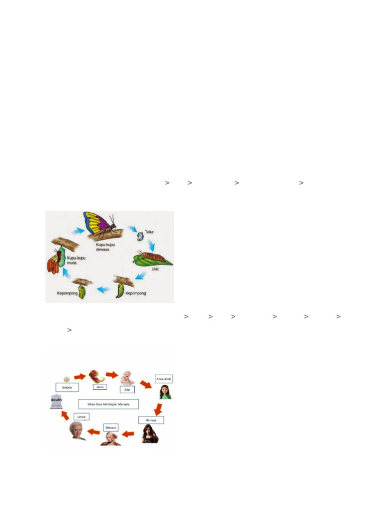 RANGKUMAN MATERI IPAS Kelas III - Bab 2 Topik A Pembelajaran Daring | PDF