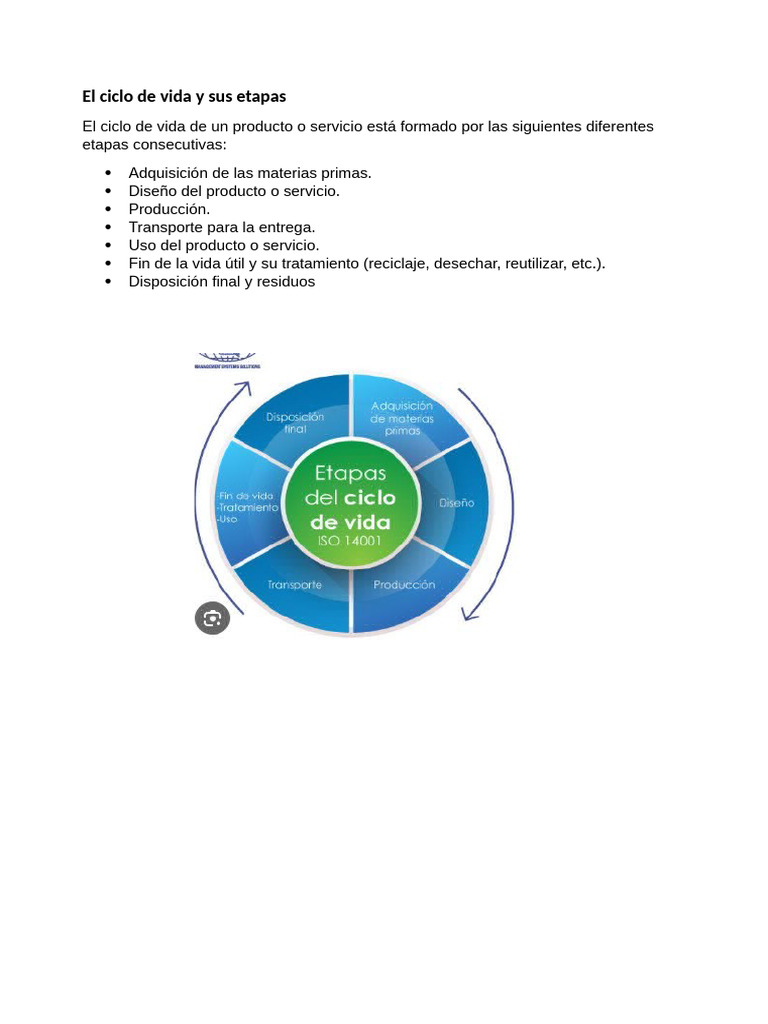 El Ciclo de Vida y Sus Etapas | PDF