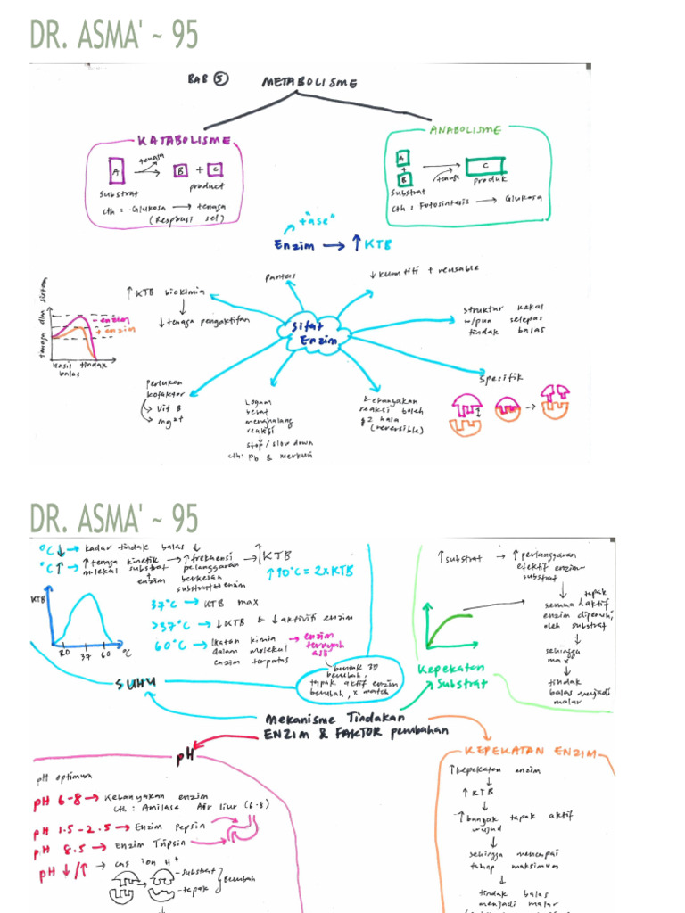 Bio F4 KSSM Bab 3 | PDF