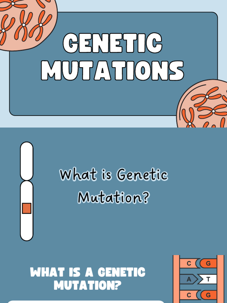 What Is Genetic Mutation | PDF