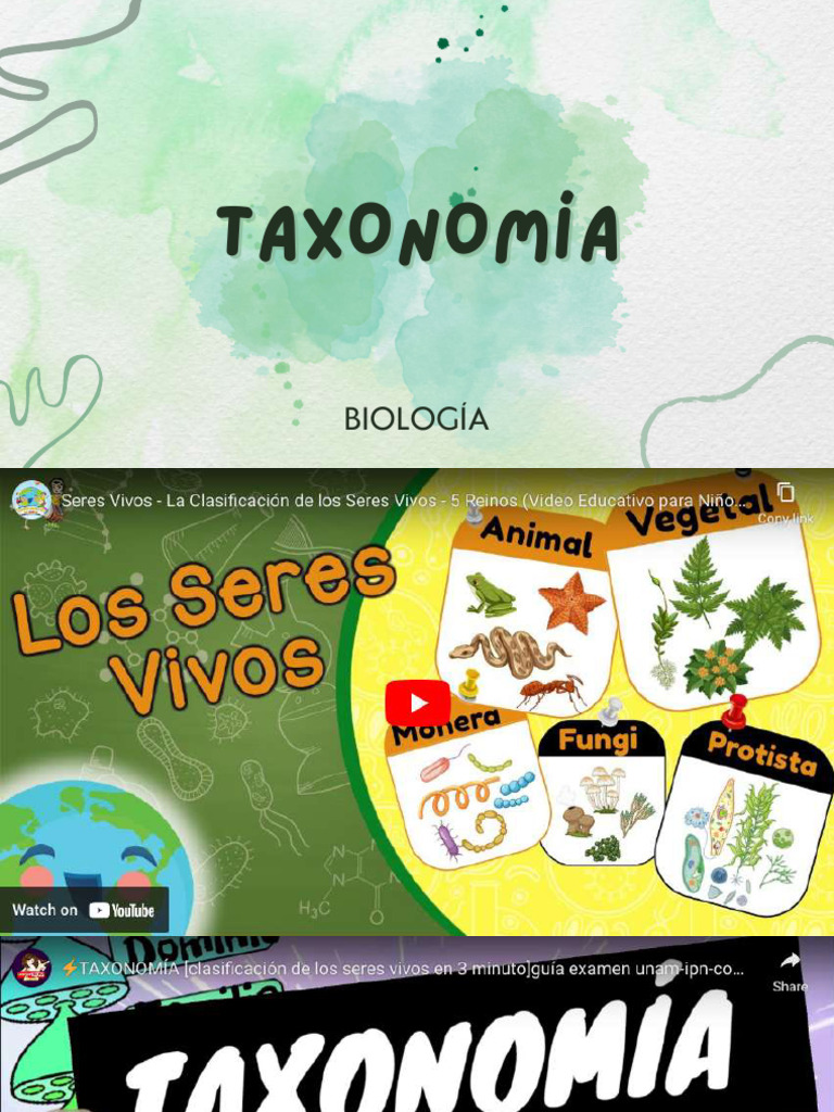 Taxonomía Ppt y Tarea | PDF