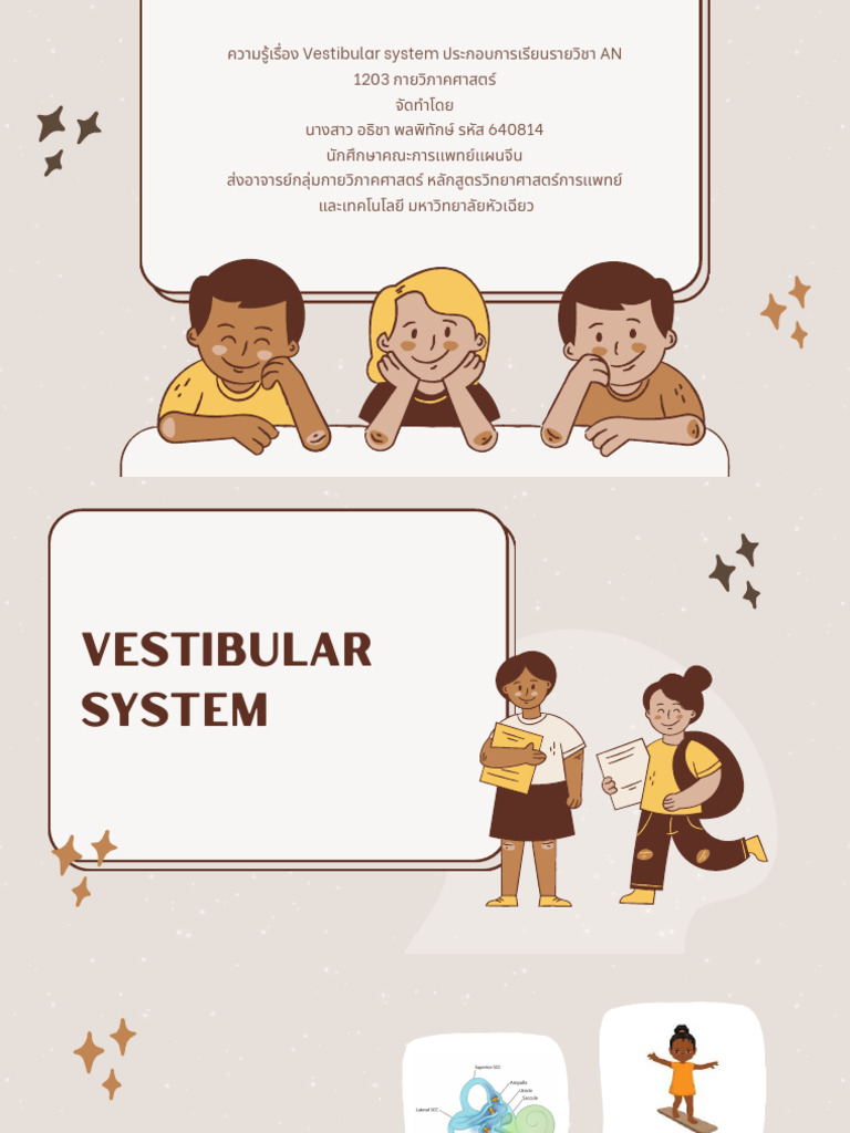 Vestibular System | PDF