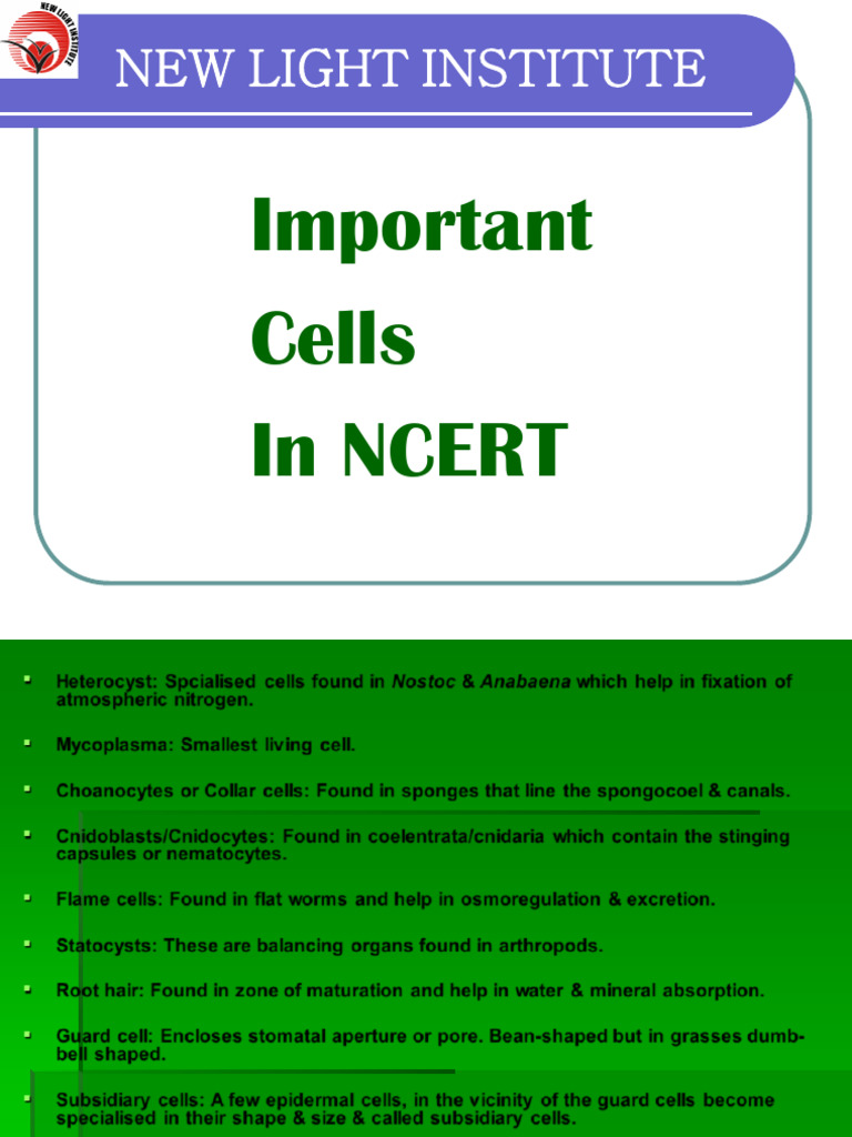 NCERT Bio Facts | PDF