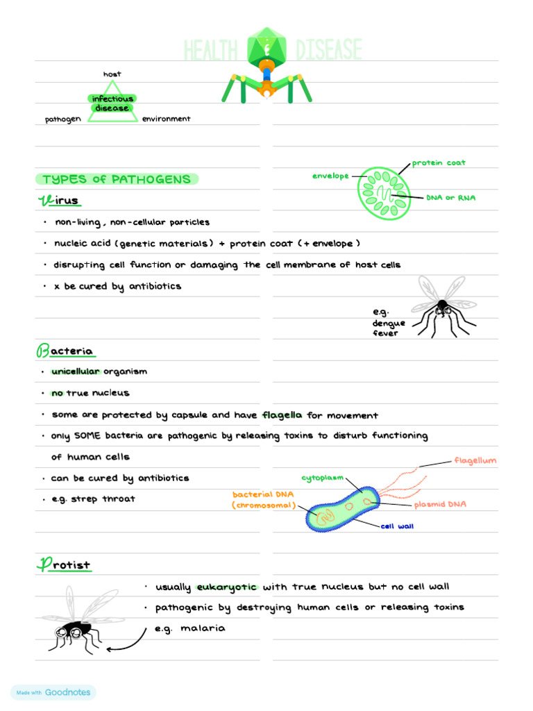 Basic Disease Notes | PDF