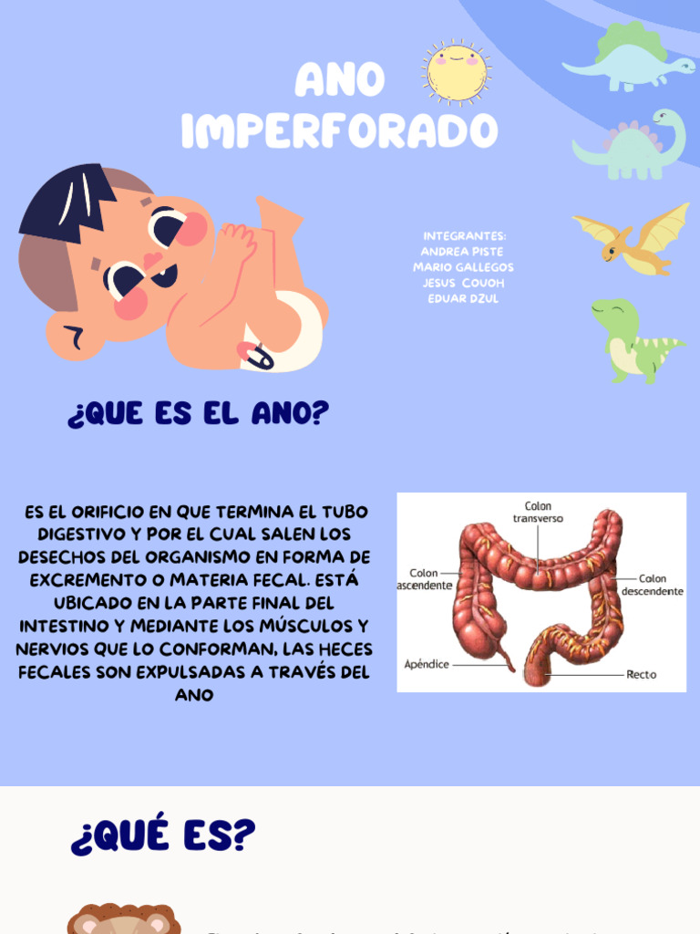 Ano Imperforado | PDF