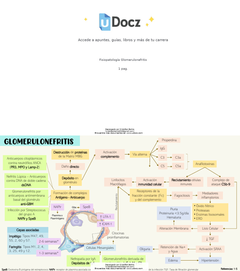 Fisiopatologia Glome 298033 Downloadable 527829 | PDF