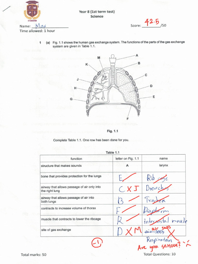 Year 8 Science Max - 000136 | PDF