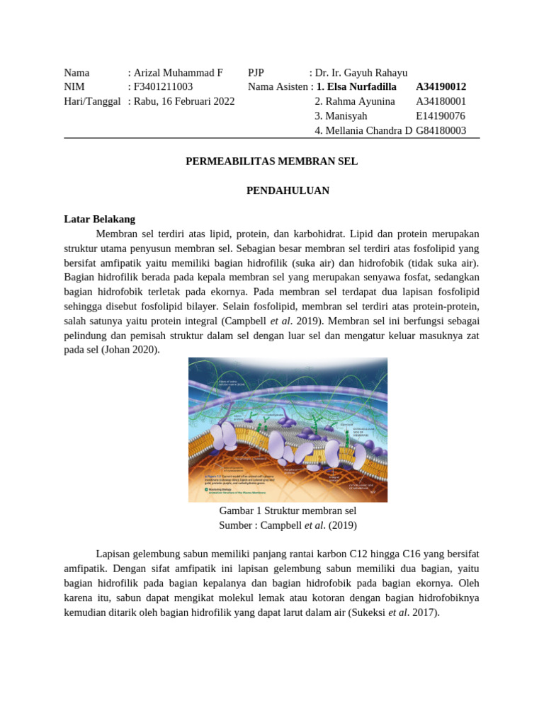 Minggu 4 - Arizal Muhammad Fadilah - F3401211003 - Permeabilitas ...