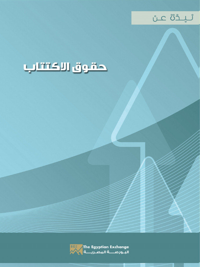 Rights Issue Brochure | PDF