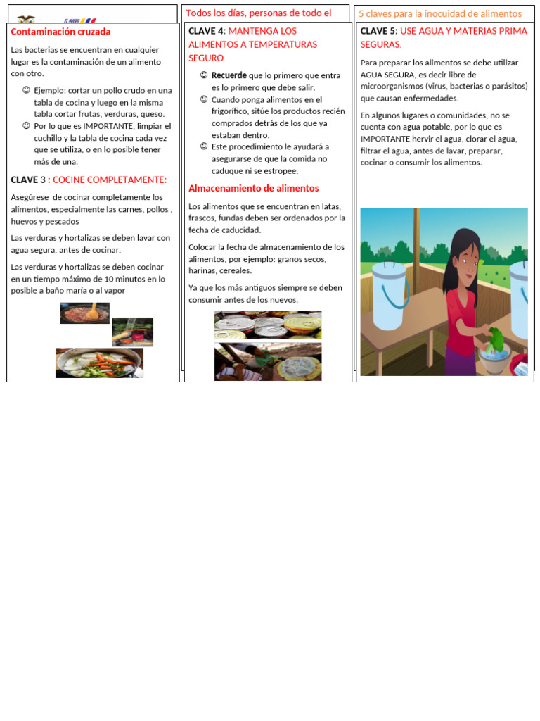 Triptico Higiene 2 | PDF