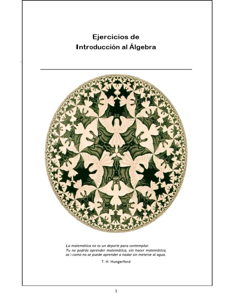Práctica 1 - Álgebra 1 | PDF
