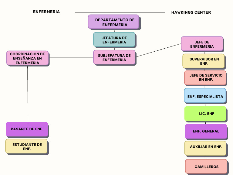 Pink Colorful Modern Organizational Chart Graph | PDF