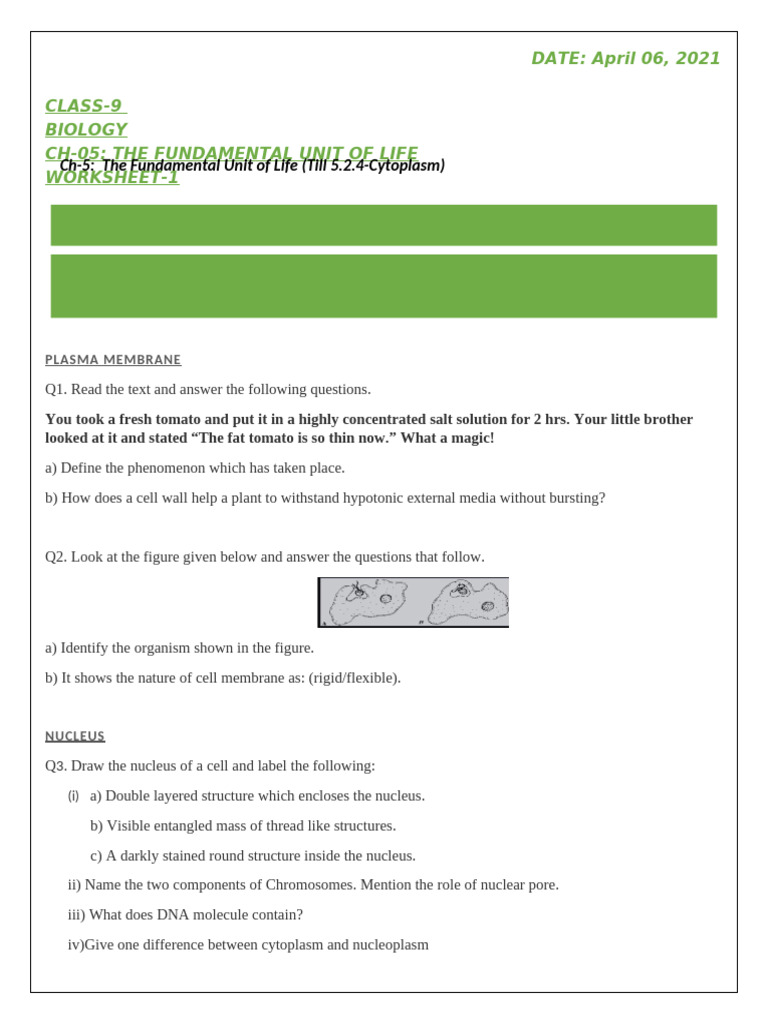 Class 9 ch 5 and 6 science pdf | PDF