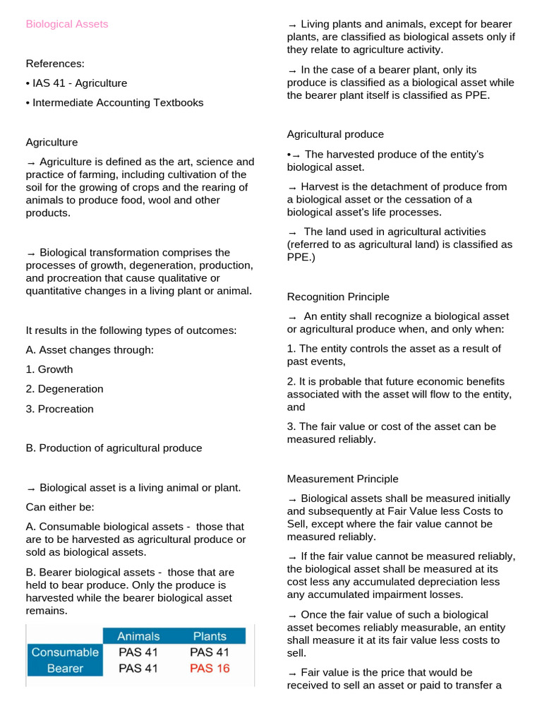 Notes Format - A4 | PDF