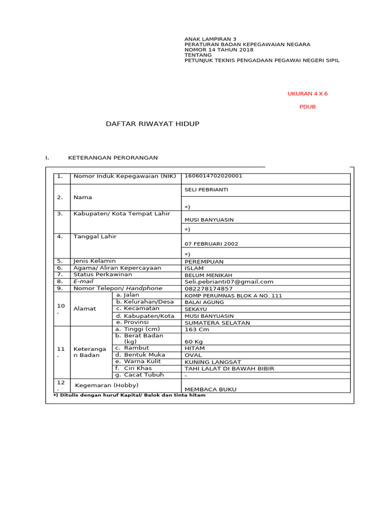 Form DRH (Daftar Riwayat Hidup) CPNS | PDF