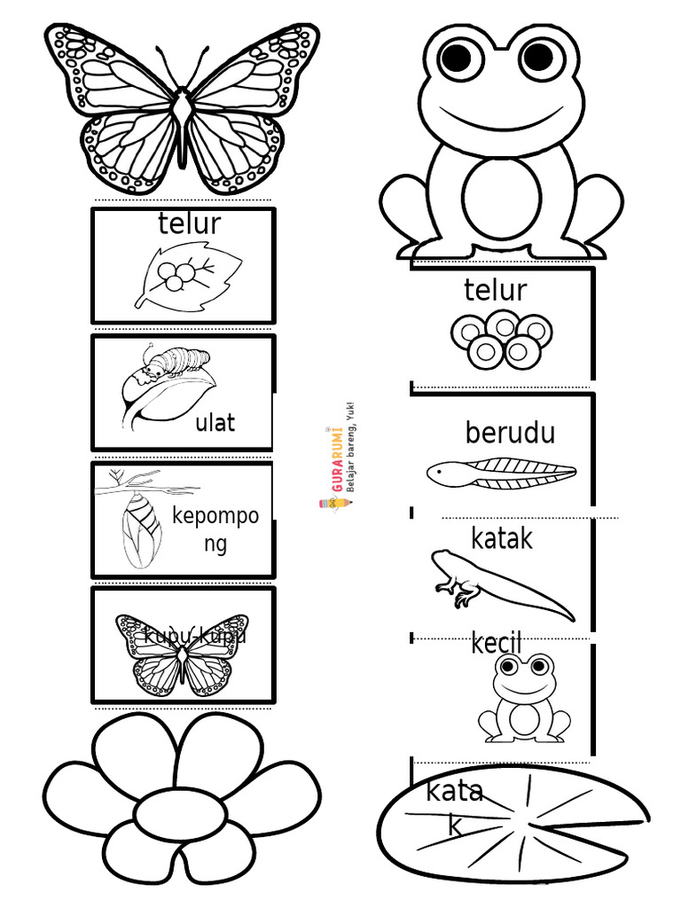 IPAS - Gurarumi - Happy Note Siklus Hidup Hewan | PDF