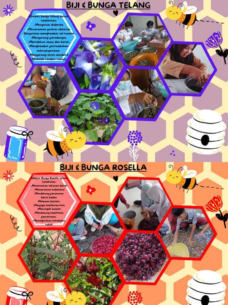 poster bunga rosella | PDF