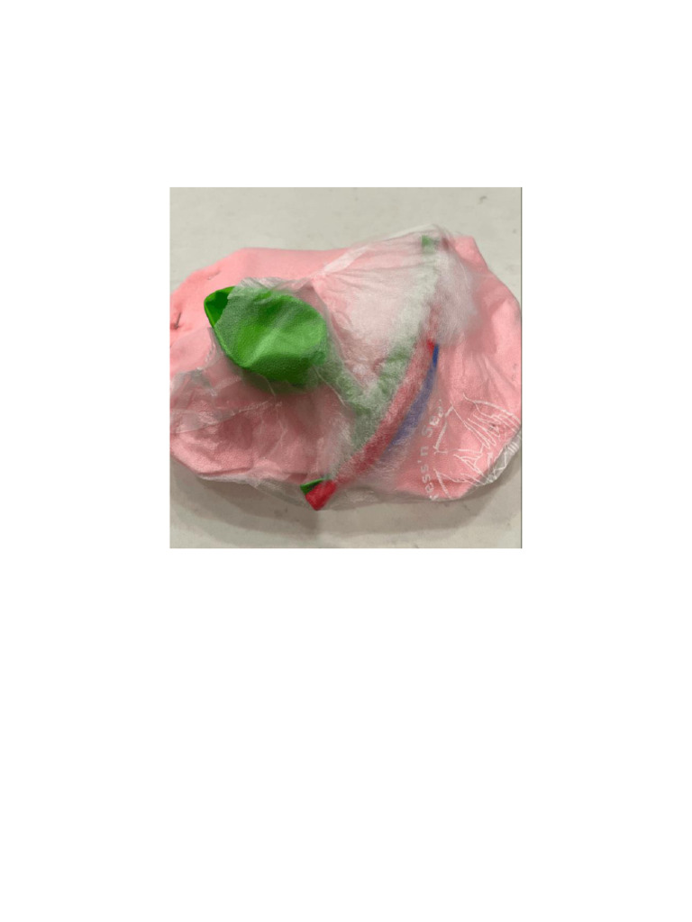 ALL-SAFE Gallbladder Disease - Simulation Build Instructions | PDF