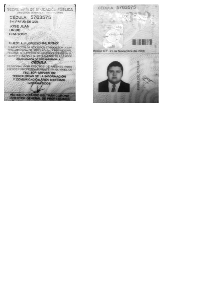 Cedula Tsu | PDF