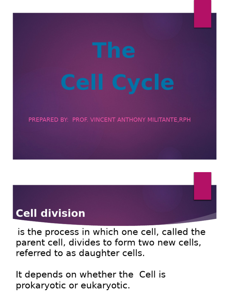 Biochem Topic 3 Cell Cycle | PDF