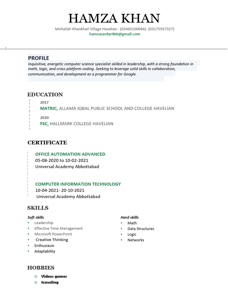 HAMZA CV 2 | PDF