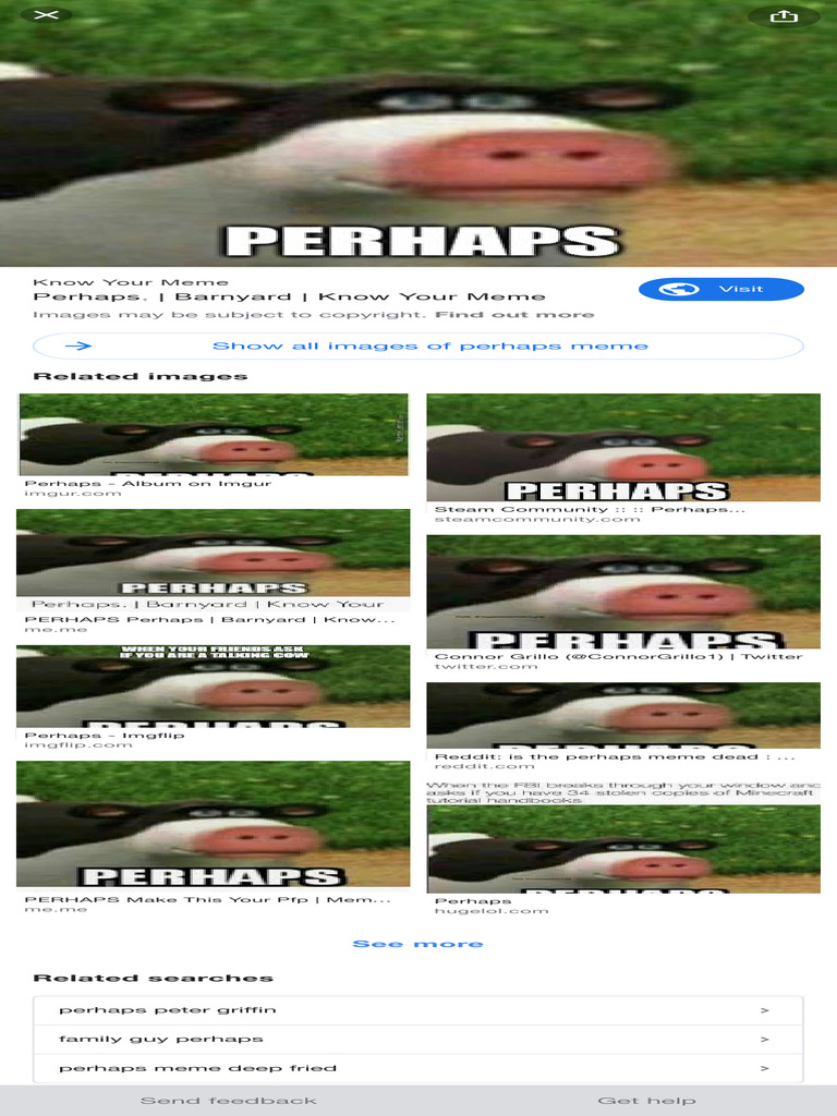 Perhaps Meme - Google Search | PDF