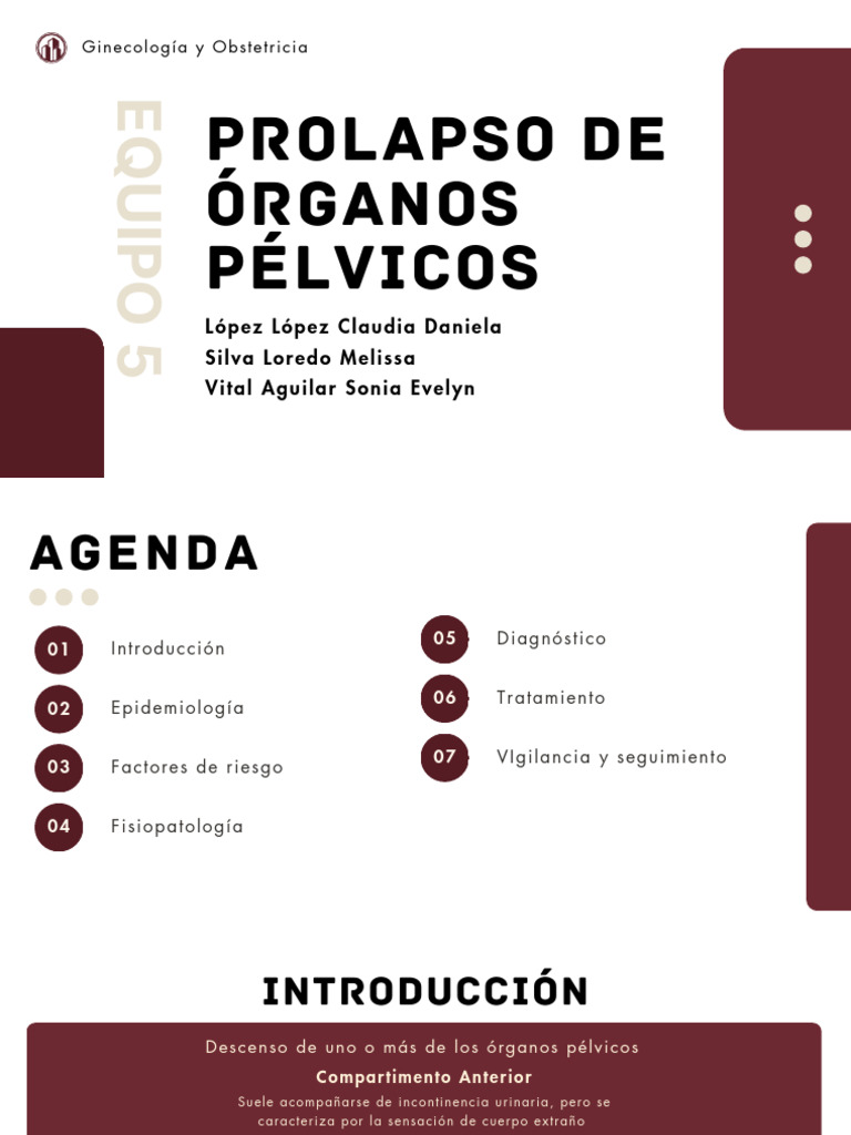 Prolapso de Órganos Pélvicos | PDF
