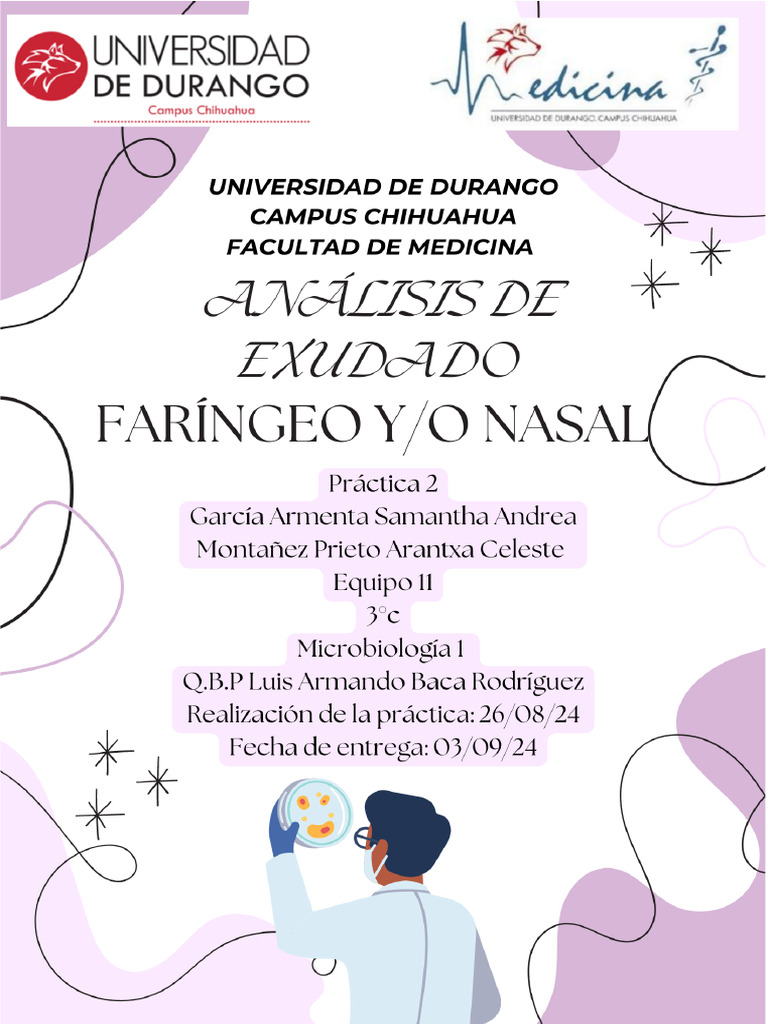 Reporte Laboratorio Micro 2 | PDF