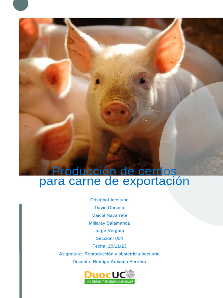 Informe Cerdos Final | PDF