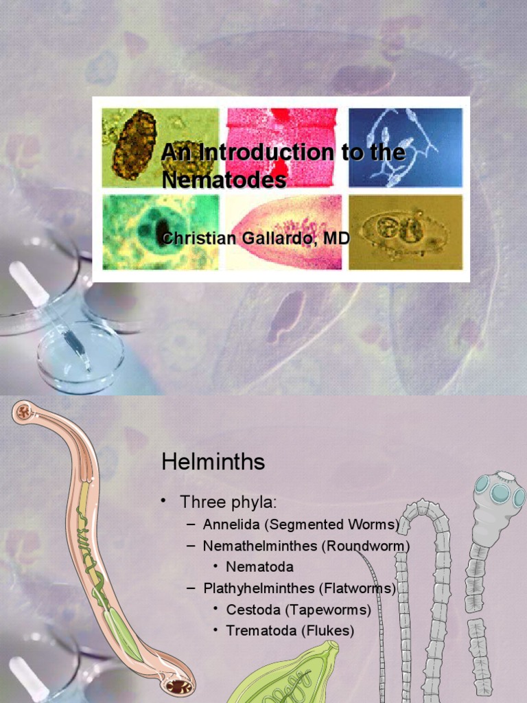 Nematodes - Teaching Demo | PDF | Nematode | Parasitology