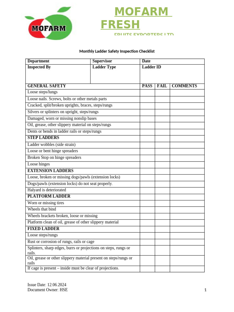 Monthly Ladder Safety Inspection Checklist | PDF