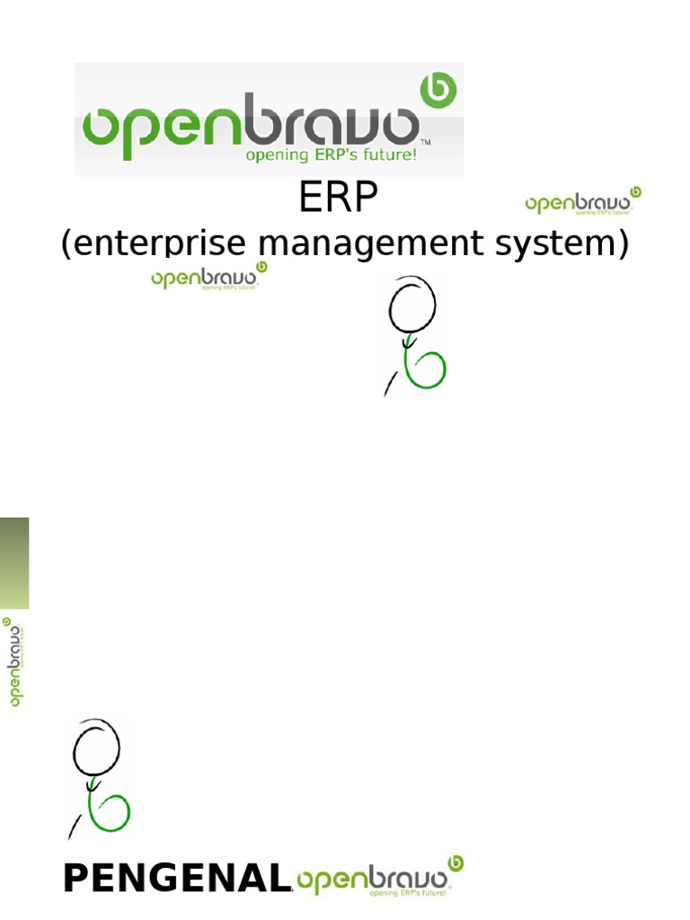 Openbravo ERP | PDF | Enterprise Resource Planning | Information And ...