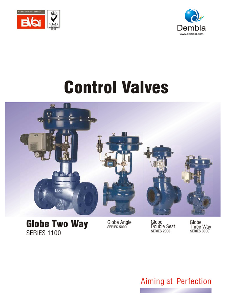 Series 1100 Two Way Globe Control Valve | PDF