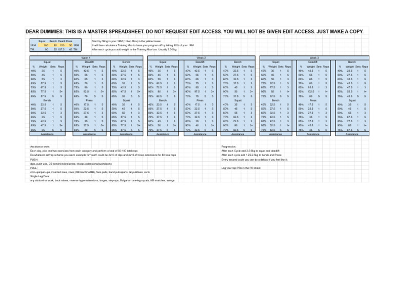 531 FOR BEGINNERS.xlsx - The Program | PDF