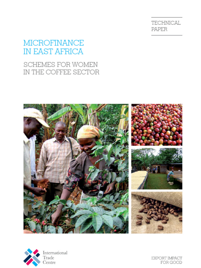 Microfinance in East Africa | PDF
