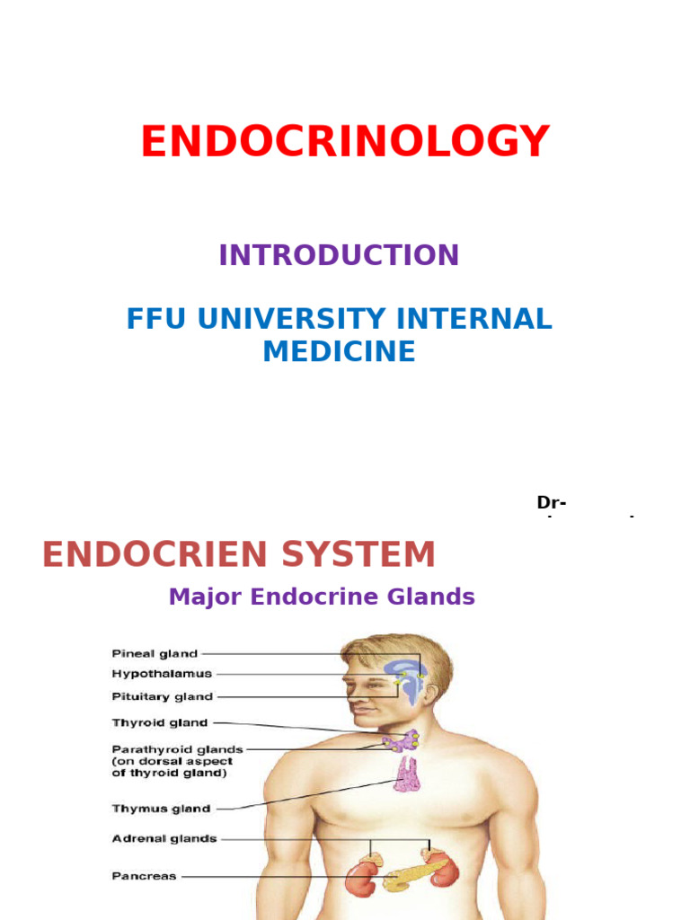 Endocrien FFU Lucture | PDF
