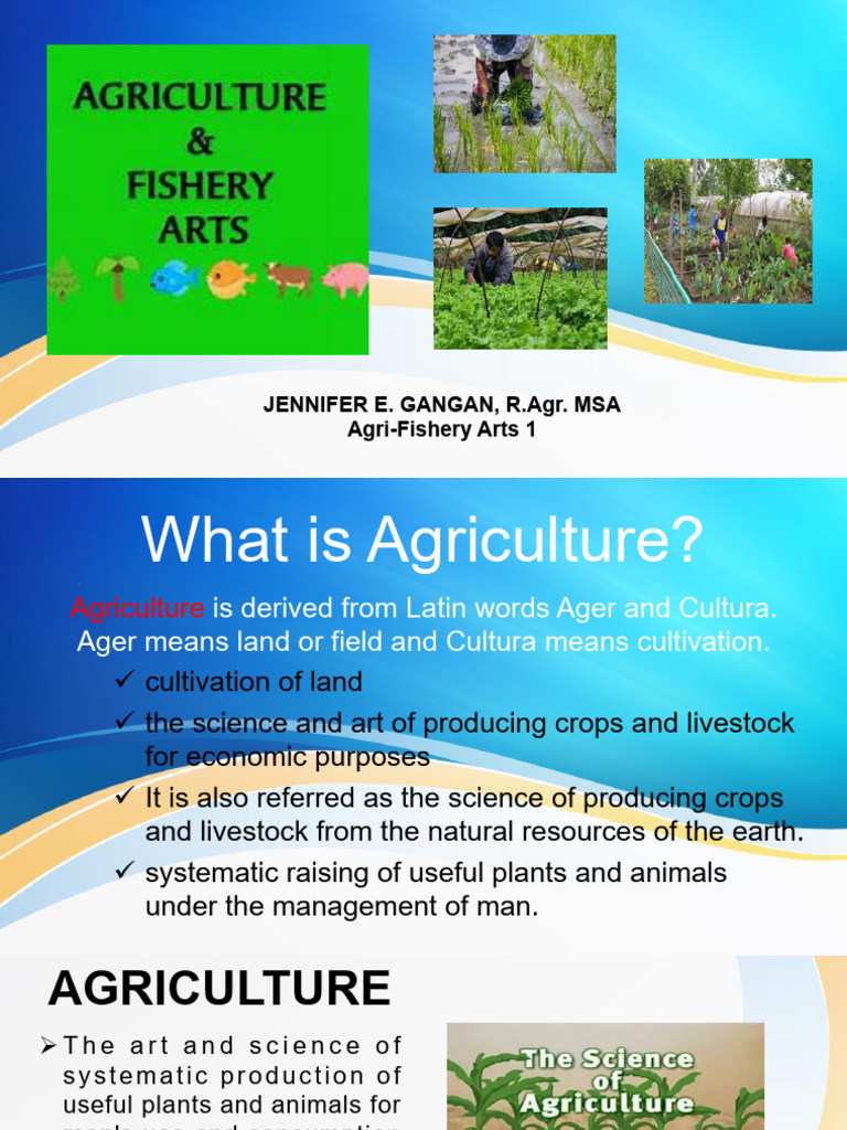 Agri Fishery Arts Introduction To Agriculture | PDF | Leaf | Flowers