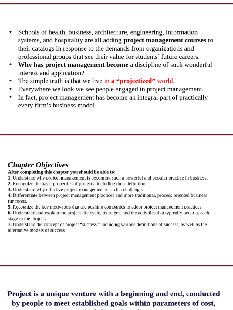 1 Project Management | PDF