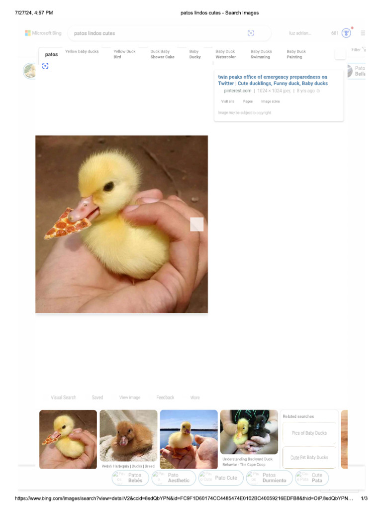 the book of bill | PDF