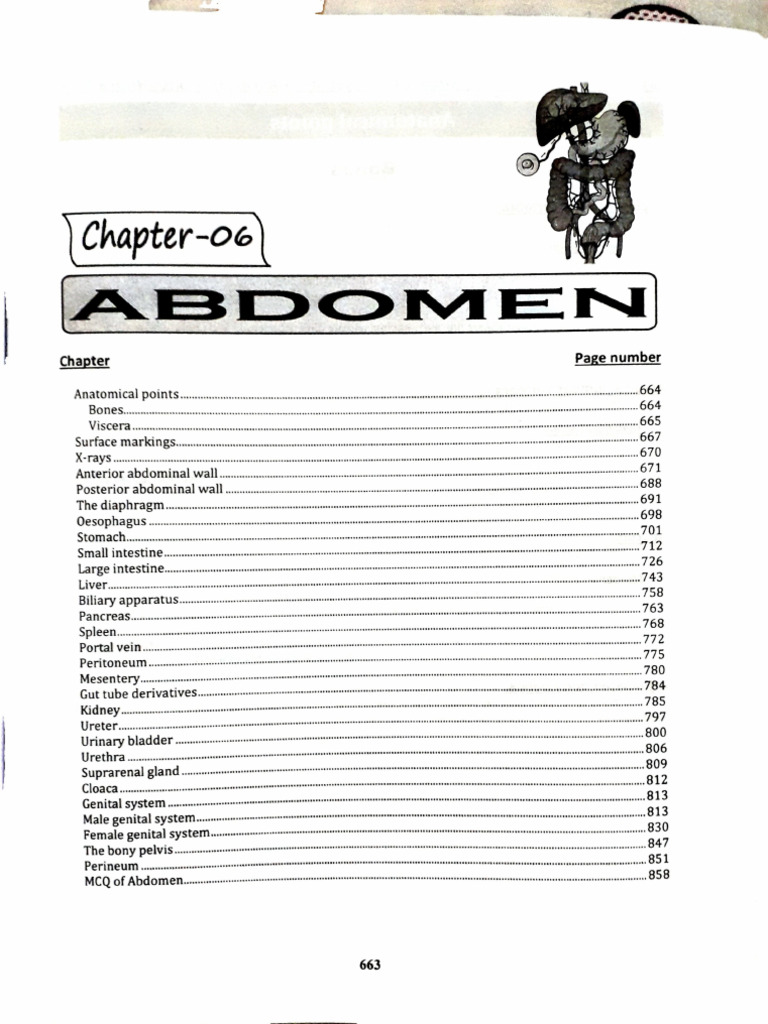 Abdomen Guide | PDF